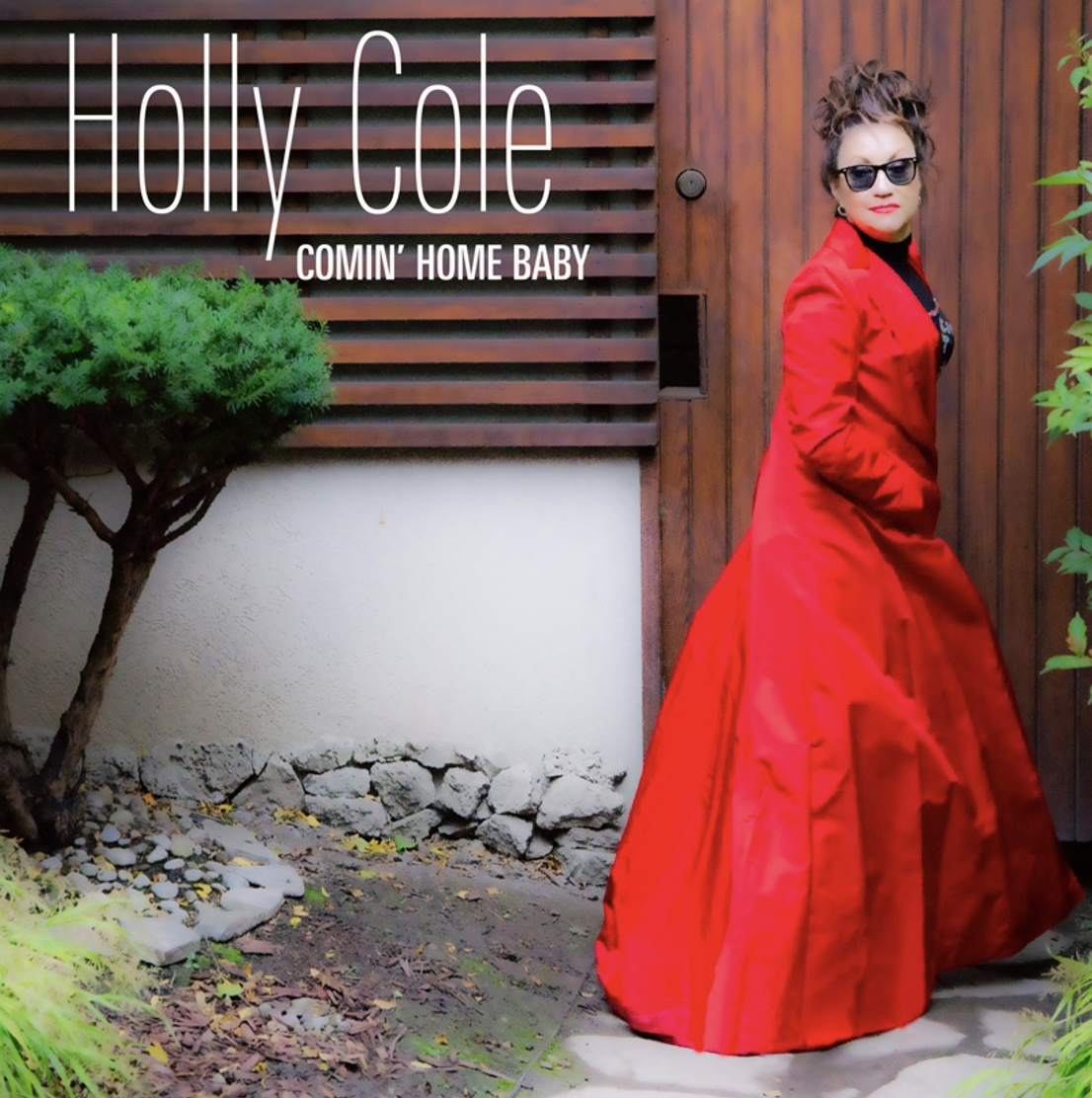 HOLLY COLE SURPRISES AND DELIGHTS FANS WITH A NEW SINGLE AND EXPANDED ...